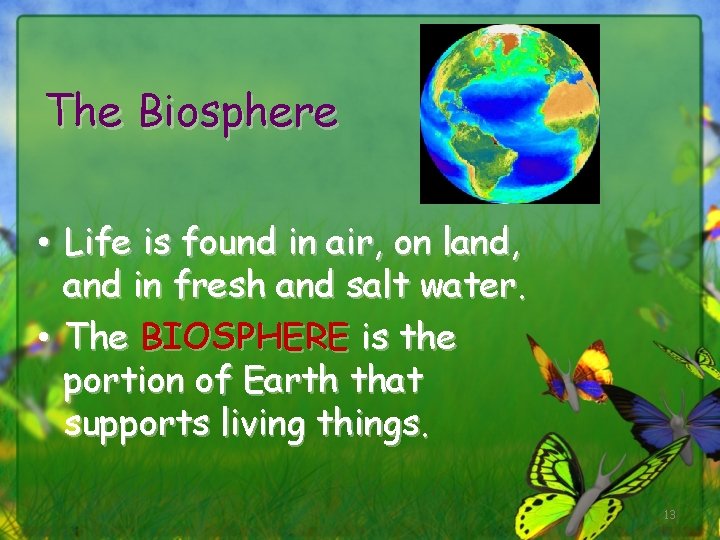 Ecology Organisms and Their Environment What is Ecology