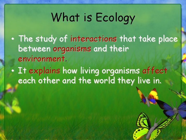 Ecology Organisms and Their Environment What is Ecology