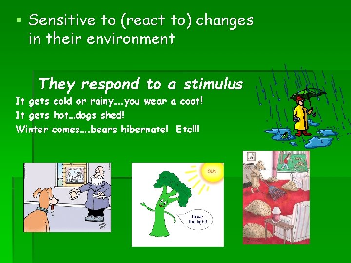 Living Things Characteristics of Life What do you