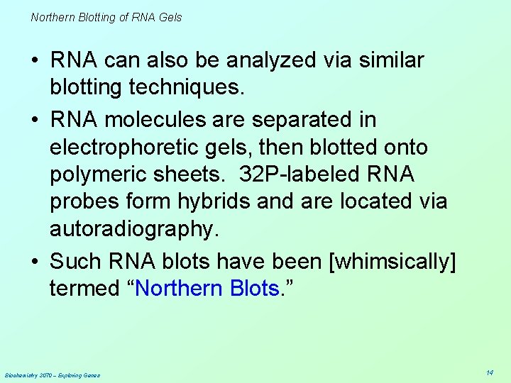Biochemistry 3070 Exploring Genes 1 Recombinant DNA Technology