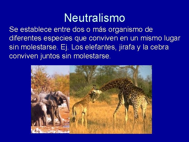 INTERRELACIONES ENTRE LOS SERES VIVOS HABITAT ES EL