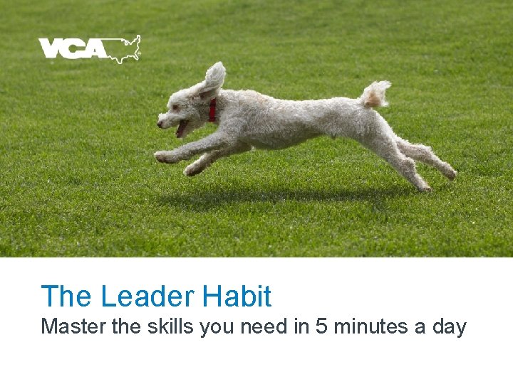 The Leader Habit Master the skills you need