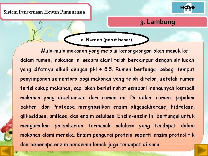 Proses Pencernaan Pada Hewan Ruminansia Reni Tianingsih 14010030