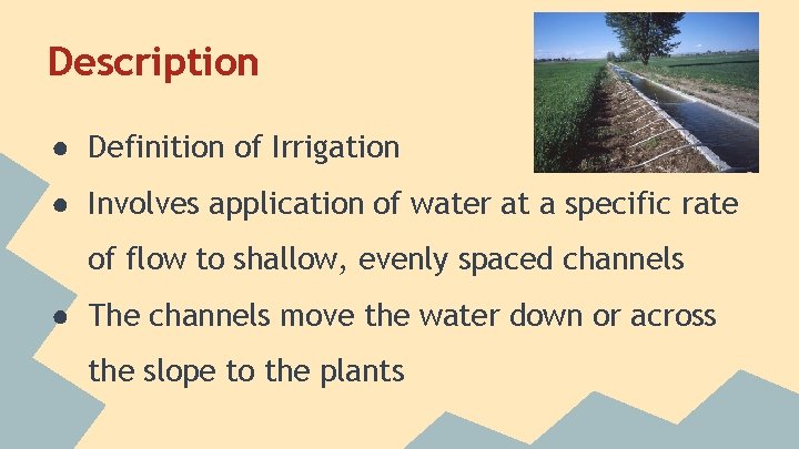 Furrow Irrigation By Adiel Di Bartolomeo Derrick Domi
