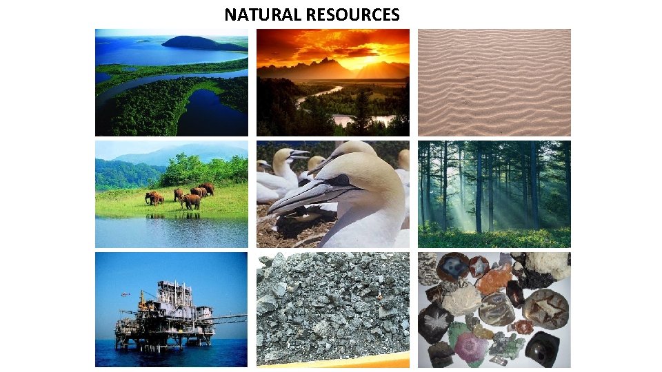 Lecture 02 NATURAL RESOURCE PLANNING AND MANAGEMENT Dr