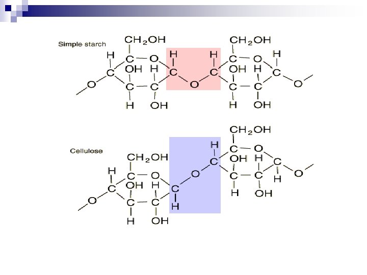 Components of Food Chemistry Project 2005 2006 Carbohydrates
