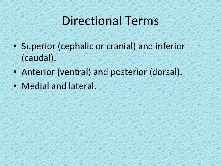 Human Anatomy Anatomical Terms Definitions Anatomy Deals with