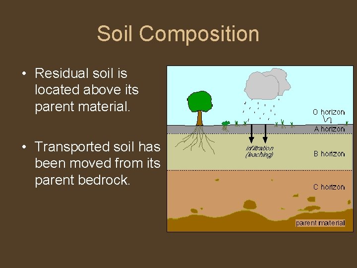 Soil AKA Dirt Development of Soil Soil loose