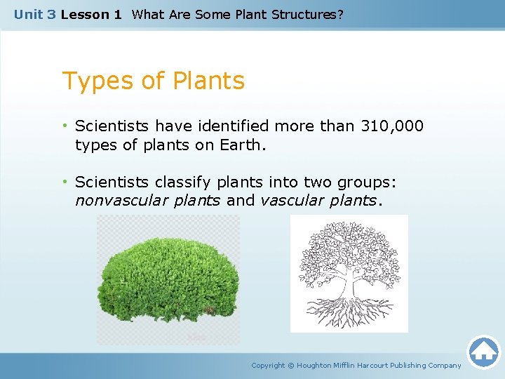 Unit 3 Lesson 1 What Are Some Plant
