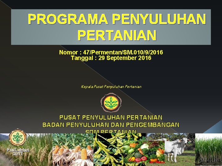 PROGRAMA PENYULUHAN PERTANIAN Nomor 47PermentanSM 01092016 Tanggal 29