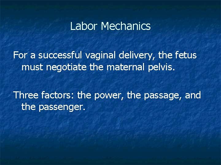 Mechanisms and Management of Labor Nancy Goodwine Wozniak