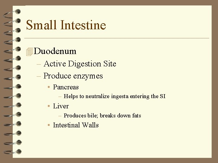 Digestive Systems Chris Ellason Digestion and Absorption 4