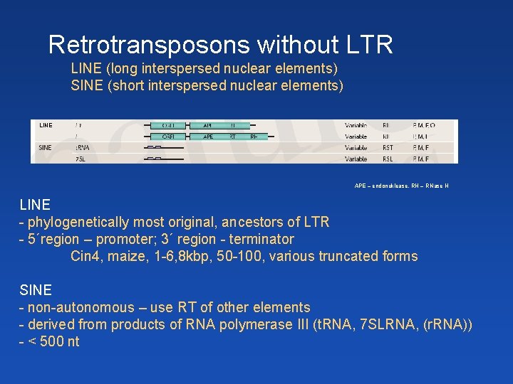 Transposable elements Transposons TEs mobile genetic elements sequences