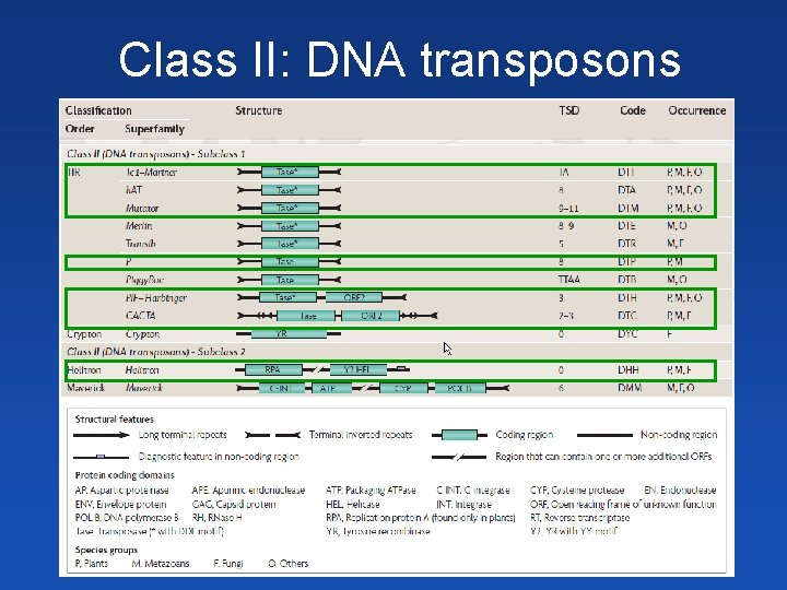 Transposable elements Transposons TEs mobile genetic elements sequences