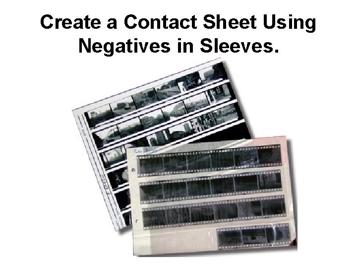 Creating a Contact Sheet Using a 35 mm