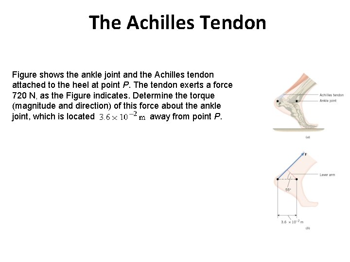 Chapter 9 Statics Consider these four objects 1