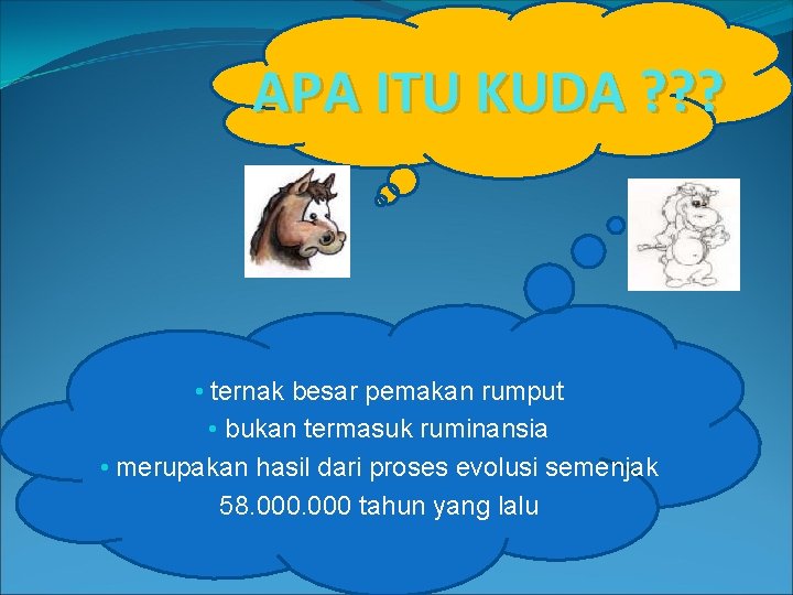 BANGSABANGSA DAN PERKEMBANGAN TERNAK KUDA DI INDONESIA APA