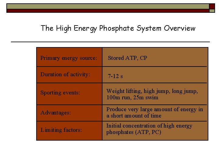 Energy for Muscular Activity Learning Objectives o To