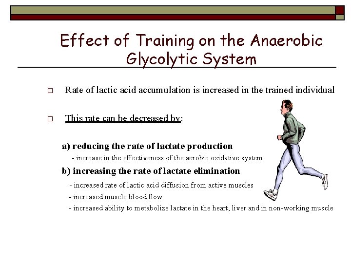 Energy for Muscular Activity Learning Objectives o To