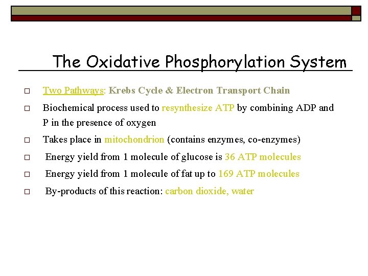 Energy for Muscular Activity Learning Objectives o To