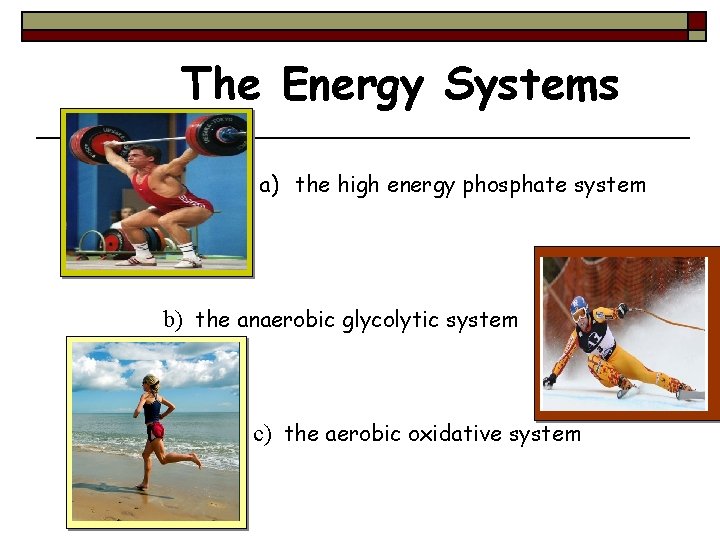 Energy for Muscular Activity Learning Objectives o To