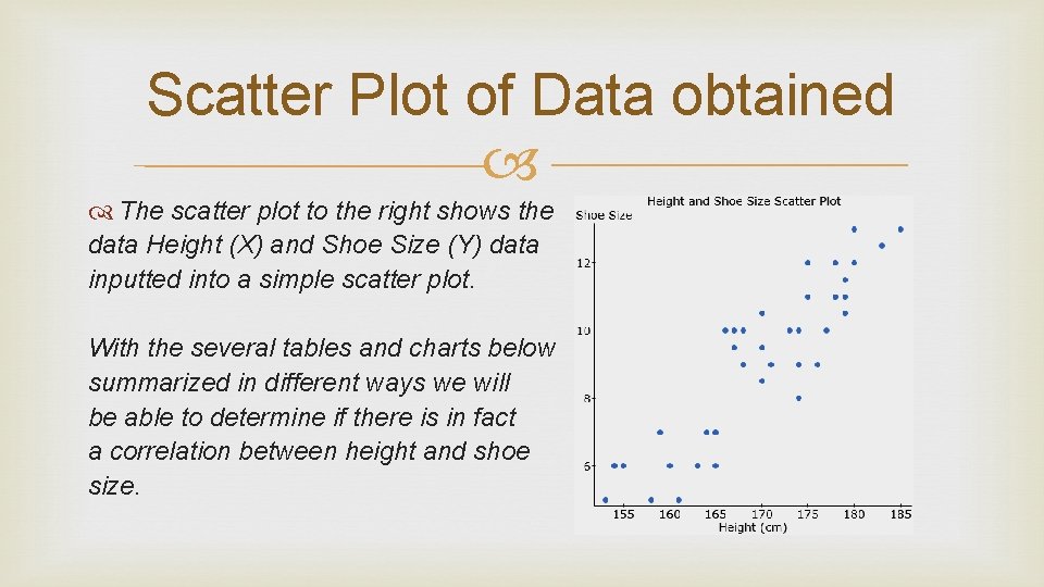 Correlation of Height and Shoe Size Members of