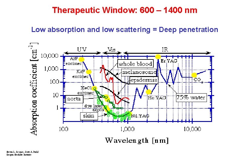 Optical Optoacoustic and Ultrasound Techniques for Noninvasive Diagnostics