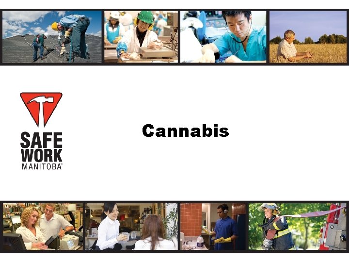 Impairment Cannabis and Workplace Safety What Employers Can