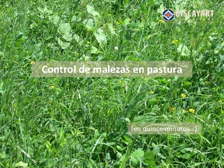 Control de malezas en pastura en quince minutos