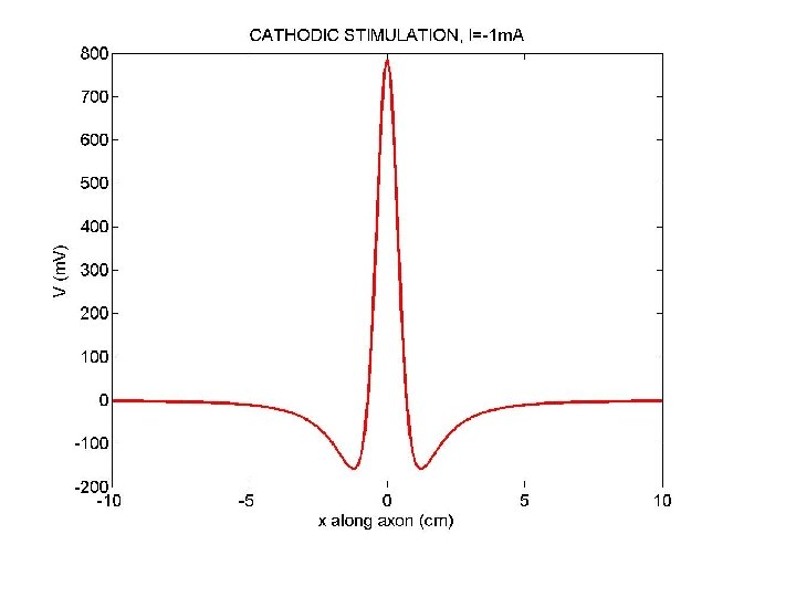 Electrical Stimulation of the Neuromuscular system part II