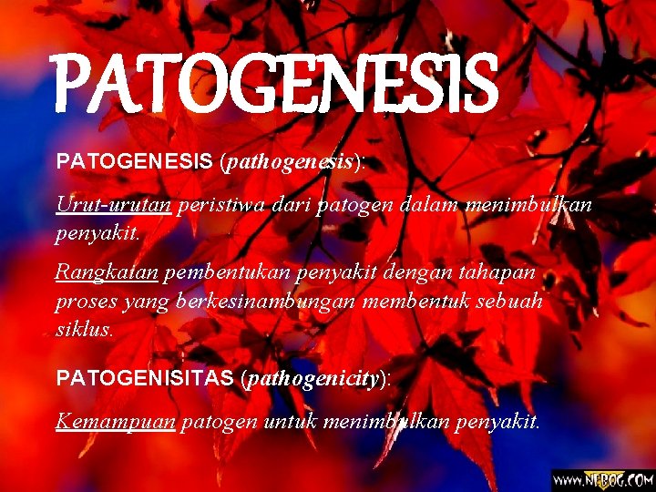 PATOGENESIS pathogenesis Uruturutan peristiwa dari patogen dalam ...