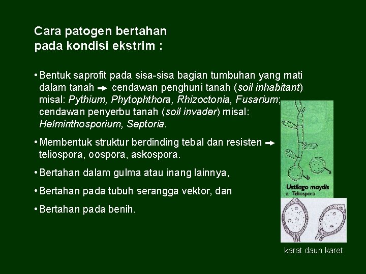 PATOGENESIS pathogenesis Uruturutan peristiwa dari patogen dalam ...