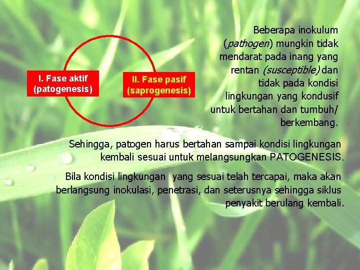 PATOGENESIS pathogenesis Uruturutan peristiwa dari patogen dalam ...