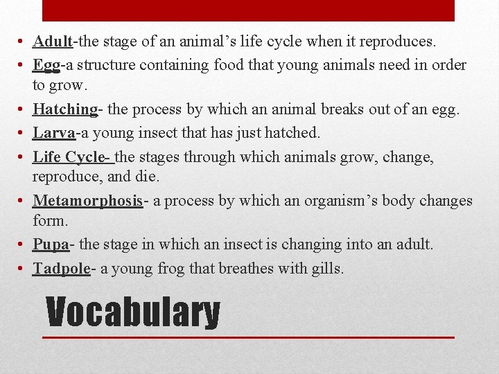 Animal Life Cycles Identify the different stages that