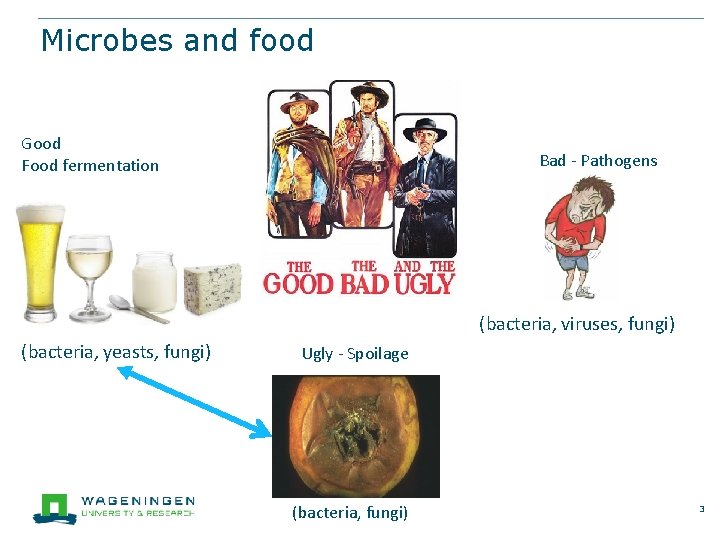 Microbial contaminants Risks of bacteria fungi viruses Ralf