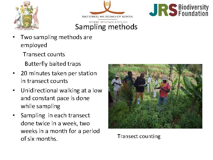 Butterfly diversity and abundance in Ngangao Forest edge