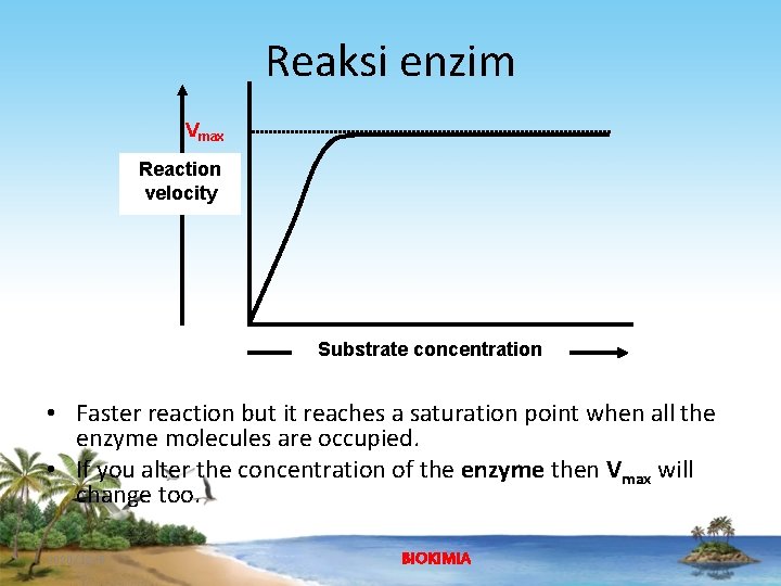 ENZIM Struktur Fungsi Mekanisme Kerja BIOKIMIA 2020125 BIOKIMIA
