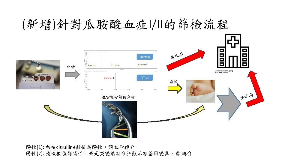 Citrullinemia type II Citrin neonatal intrahepatic cholestasis caused