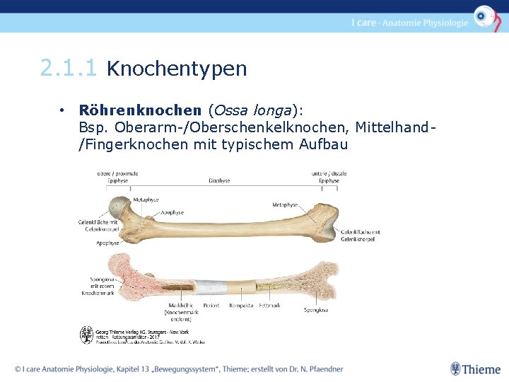 Bewegungssystem Grundlagen Im berblick 1 2 3 4