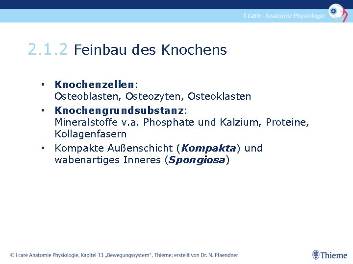 Bewegungssystem Grundlagen Im berblick 1 2 3 4