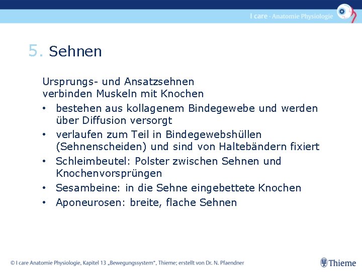 Bewegungssystem Grundlagen Im berblick 1 2 3 4