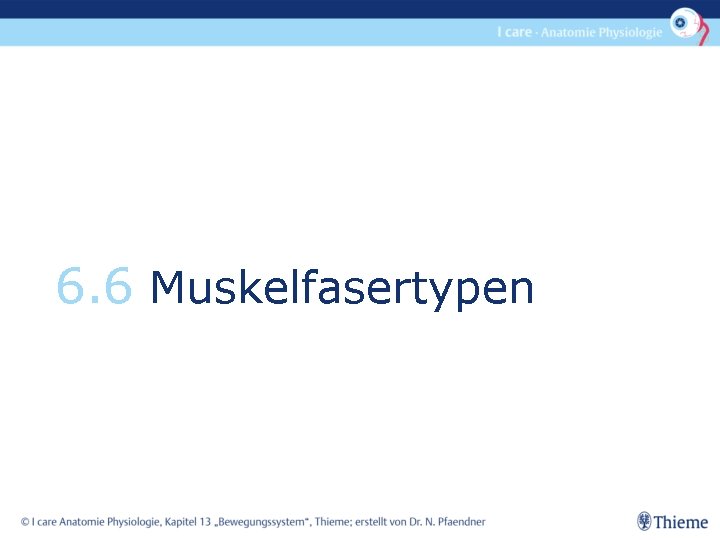 Bewegungssystem Grundlagen Im berblick 1 2 3 4