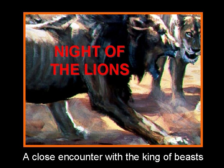 DANIEL SEMINAR NIGHT OF THE LIONS A close