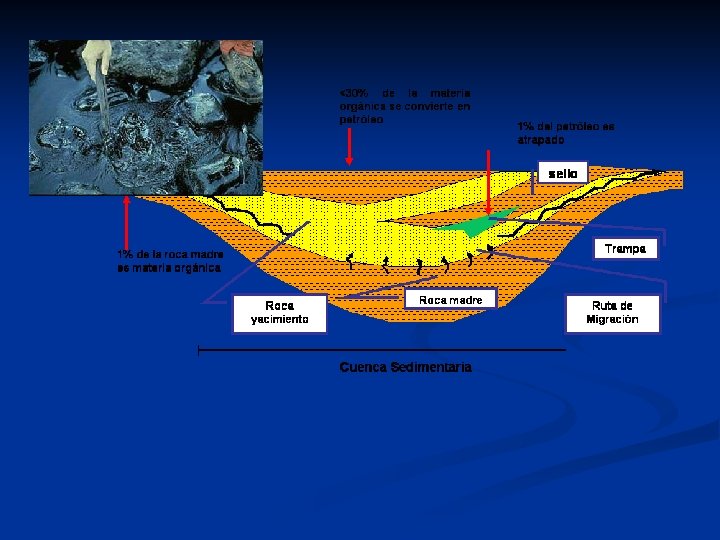 NOCIONES ELEMENTALES DE GEOLOGIA DEL PETROLEO Segn el