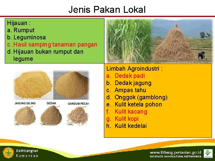 STRATEGI OPTIMALISASI PAKAN LOKAL UNTUK MENINGKATKAN PRODUKTIVITAS SAPI