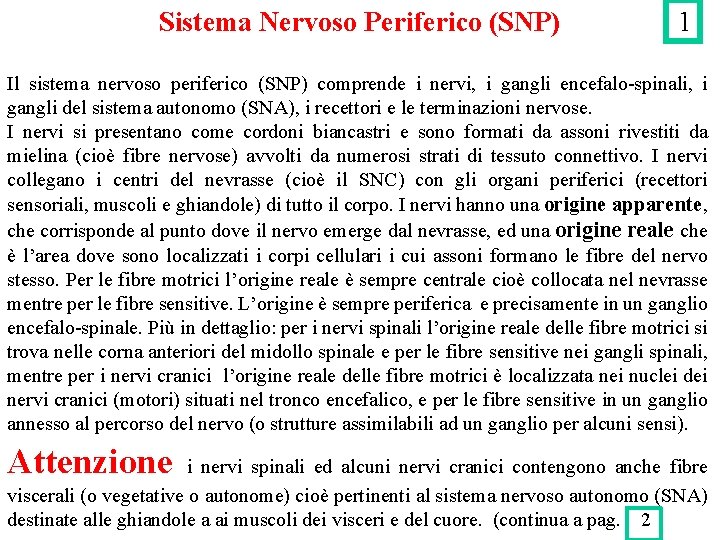 Sistema Nervoso Periferico SNP 1 Il sistema nervoso