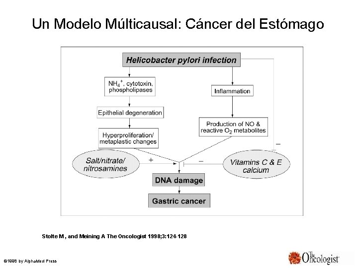 Evaluacin de Causalidad en la Epidemiologa del Cncer