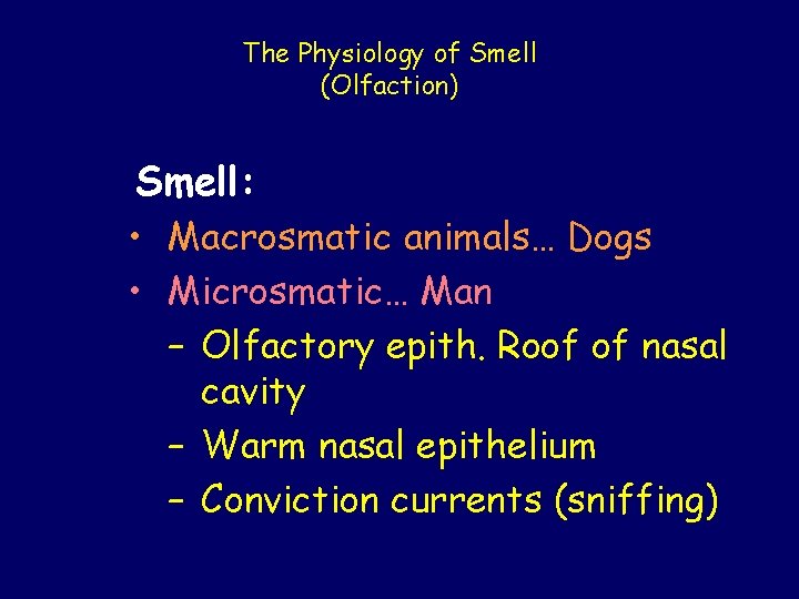 Sensation of Smell Professor A M A Abdel