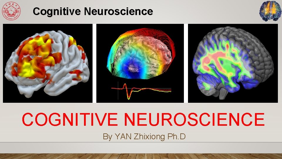 Cognitive Neuroscience COGNITIVE NEUROSCIENCE By YAN Zhixiong Ph