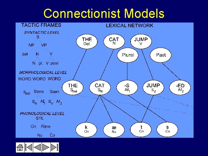 Interactions between Language and Stuttering J Scott Yaruss